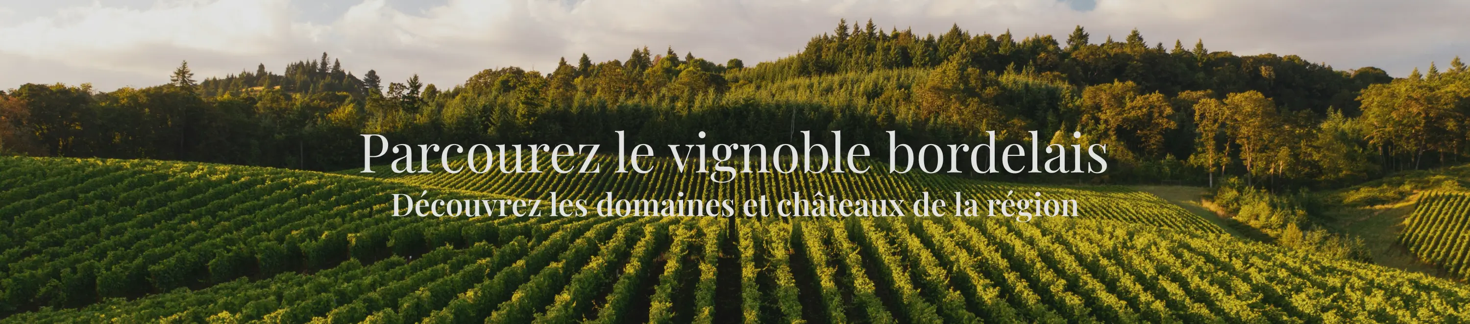 Bordeaux et ses Vins